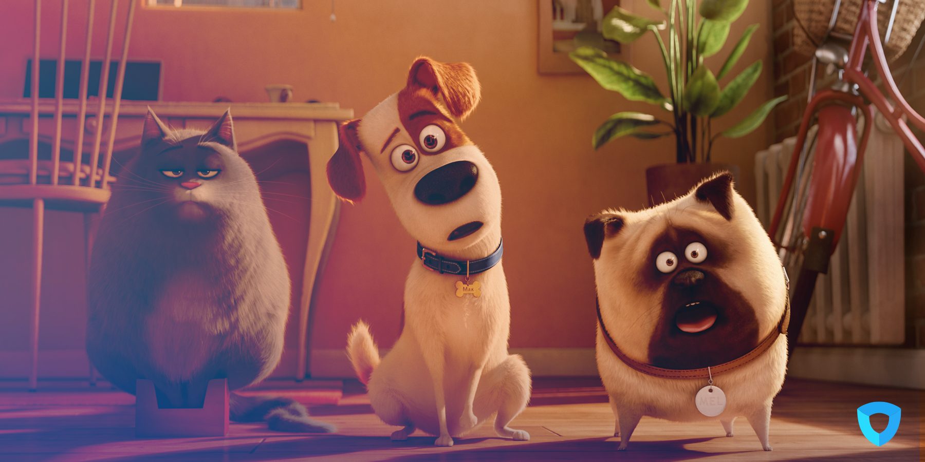 Snow Dog Movies On Netflix at Samantha Brabyn blog